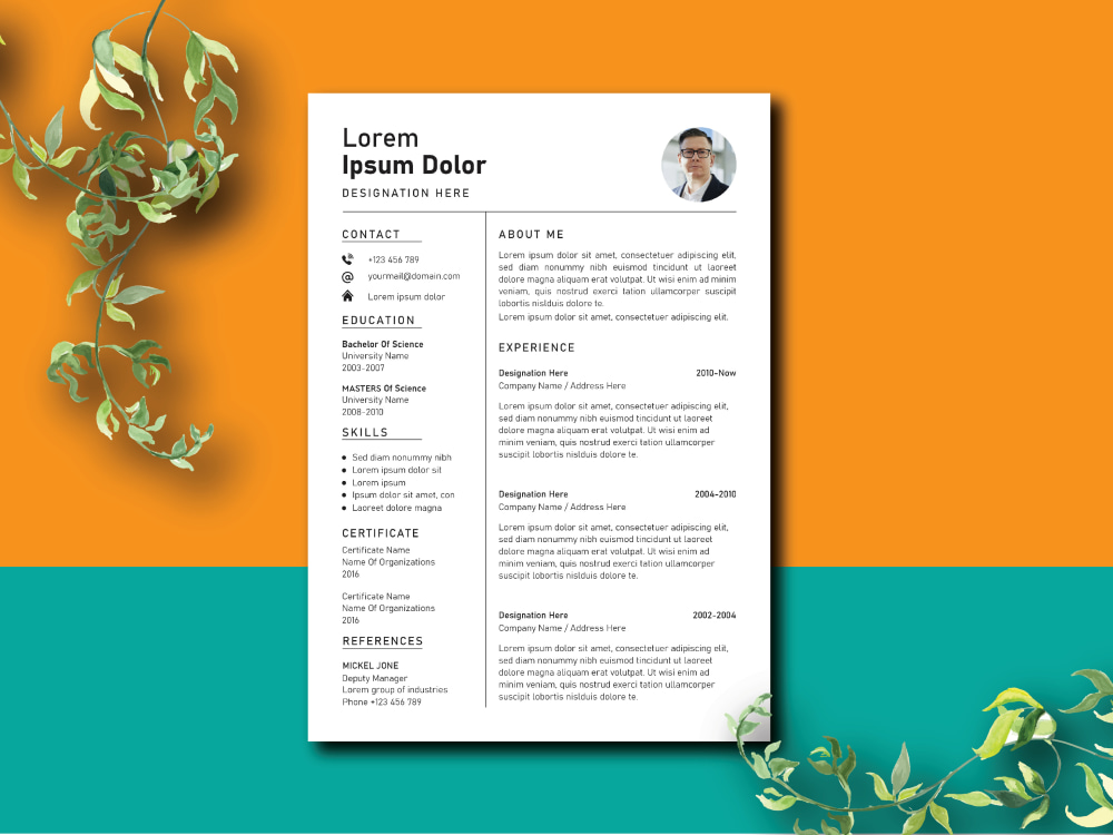 A professional resume, CV and cover letter design | Upwork