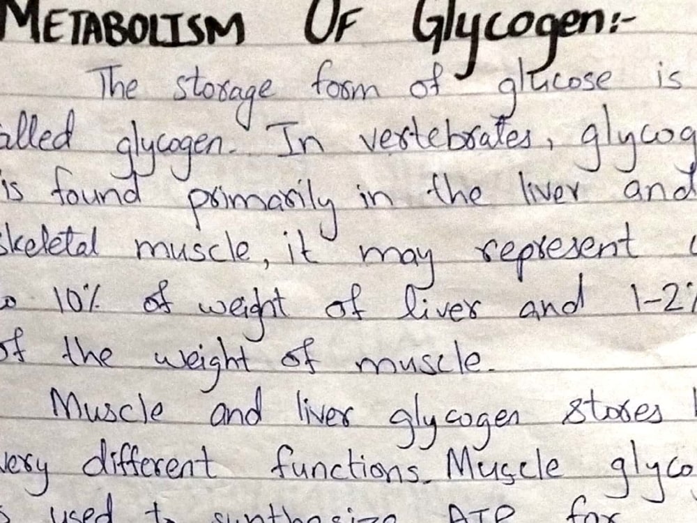 Hand written assignments and documents | Upwork