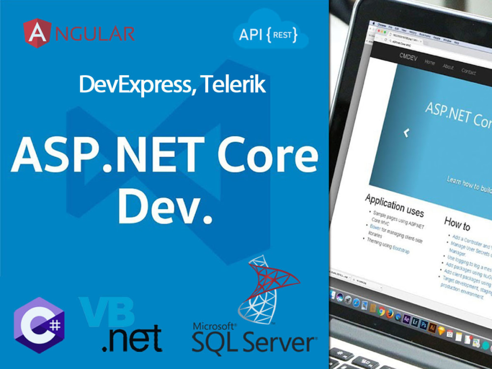 Net Web Application Winform And Wpf Using C Aspnet Mvc And Sql Server Upwork
