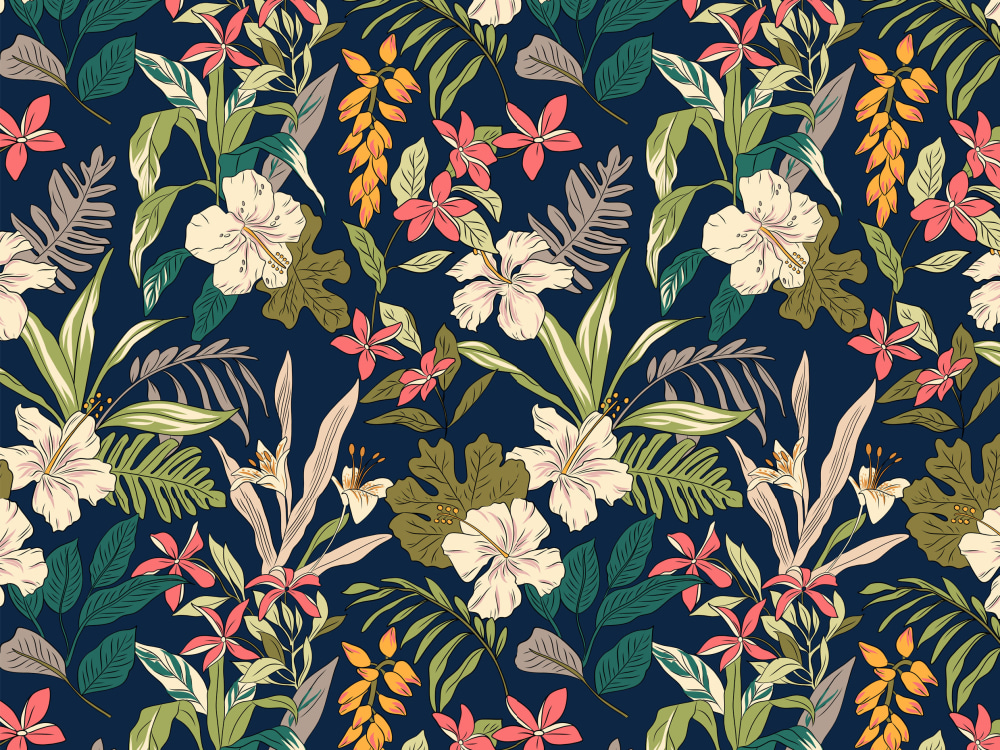 An elegant and beautiful vector illustration | Upwork