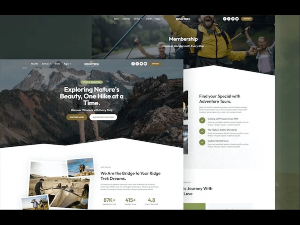 Clone, Copy, Revamp, Redesign, Duplicate WordPress Elementor Website | Upwork