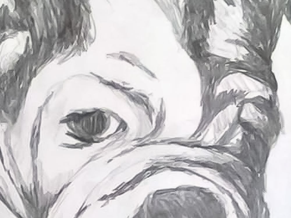 Beautiful Illustration ability that makes all your projects come to ...