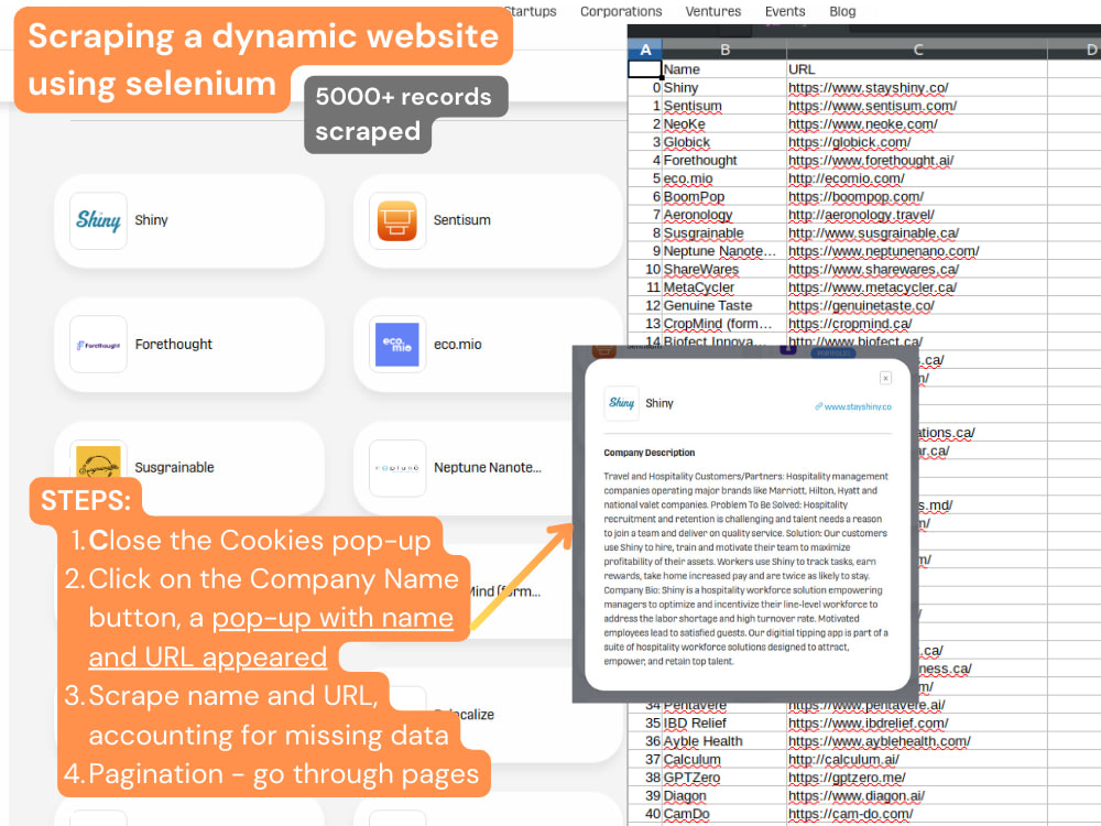 CSV file with scraped info from any HTML-based website | Upwork