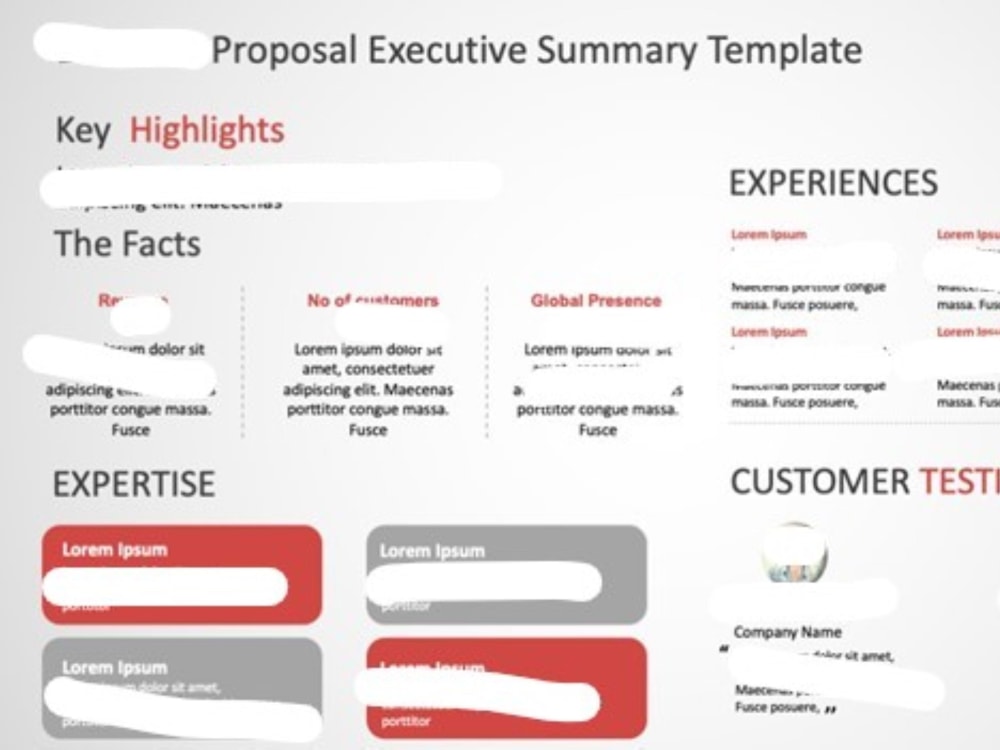 An Executive Summary - Introduction, Summary, Objectives, Conclusion ...