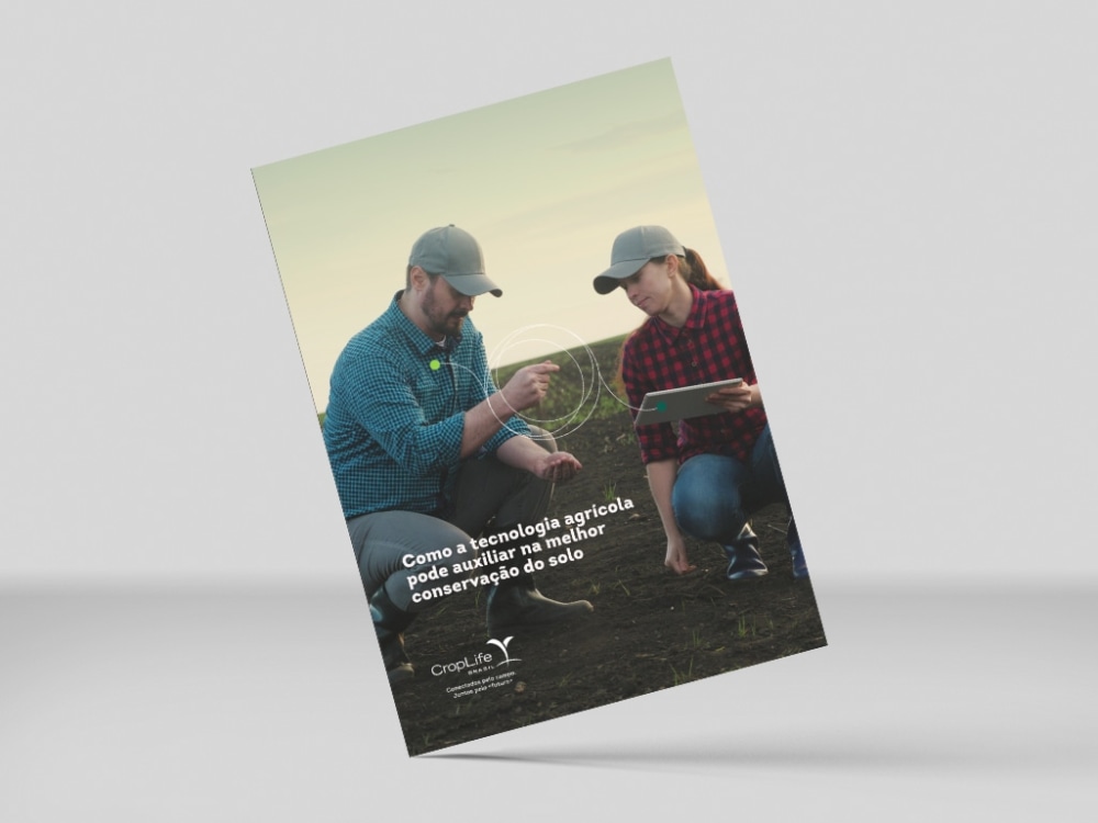 Remarkable brochures and whitepapers | Upwork