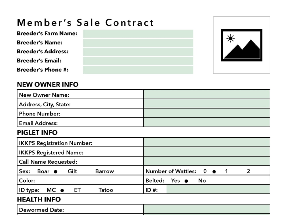 An Fillable / Interactive PDF with User-Friendly Design and Layout | Upwork