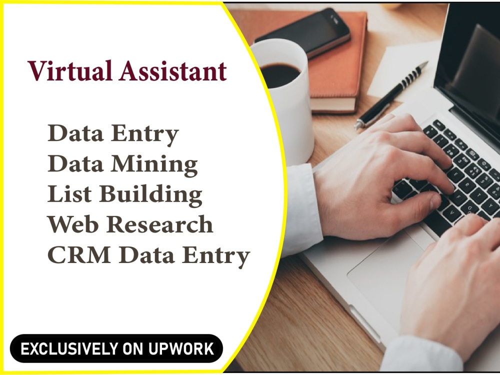 I'm google shit. I will provide data entry service using excel sheet ...