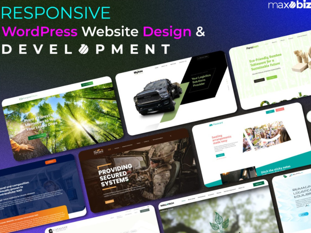 WordPress Designer, Developer, WordPress Website, WordPress Expert | Upwork