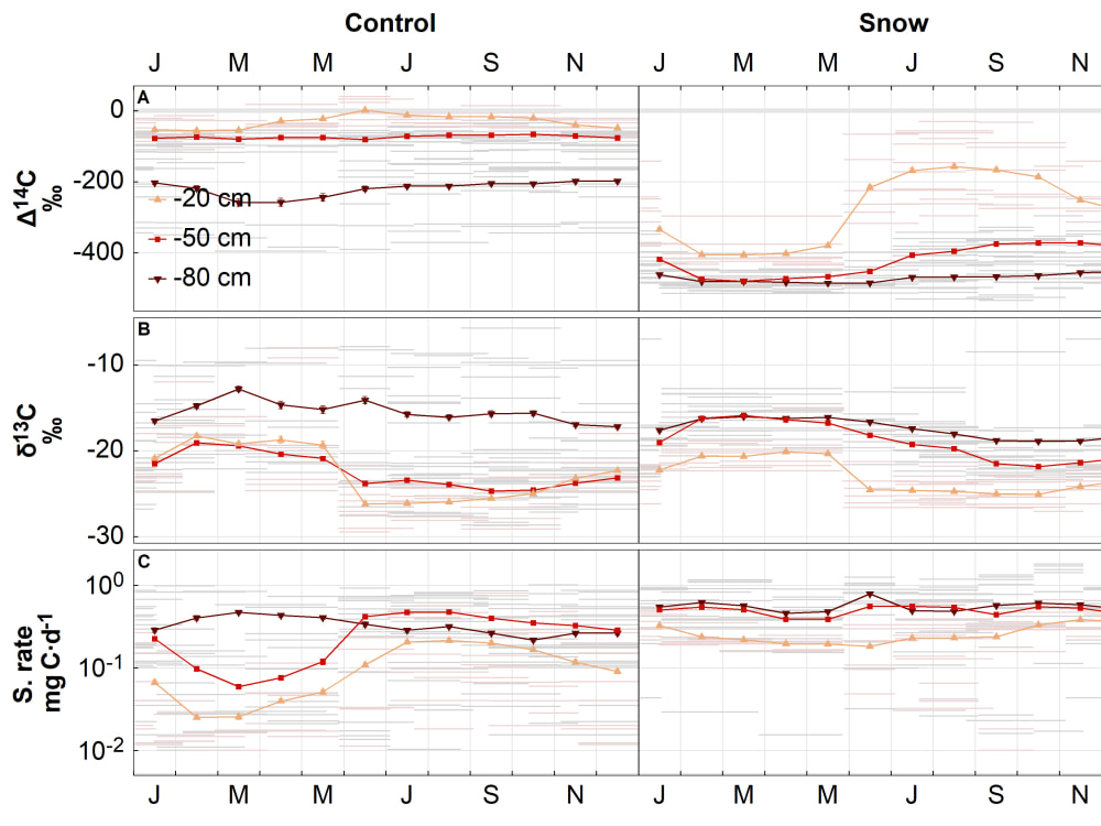 Data reduction and visualization in R with ggplot2 and patchwork | Upwork