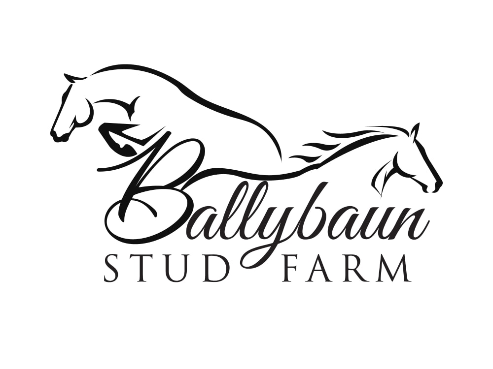 One of a kind equestrian equine horse business logo | Upwork