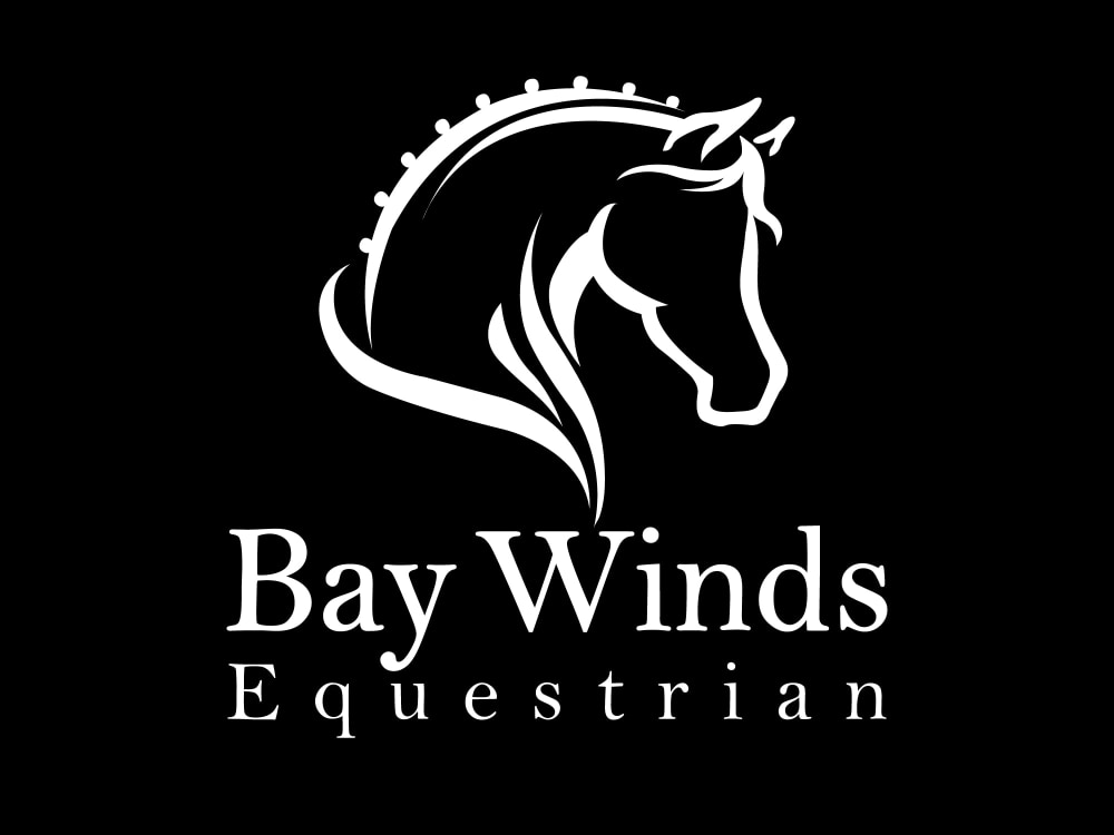 One of a kind equestrian equine horse business logo | Upwork