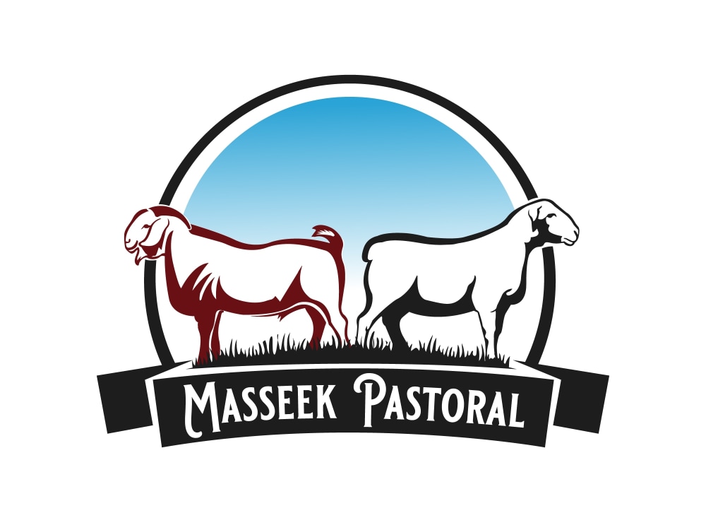 One of a kind equestrian equine horse business logo | Upwork