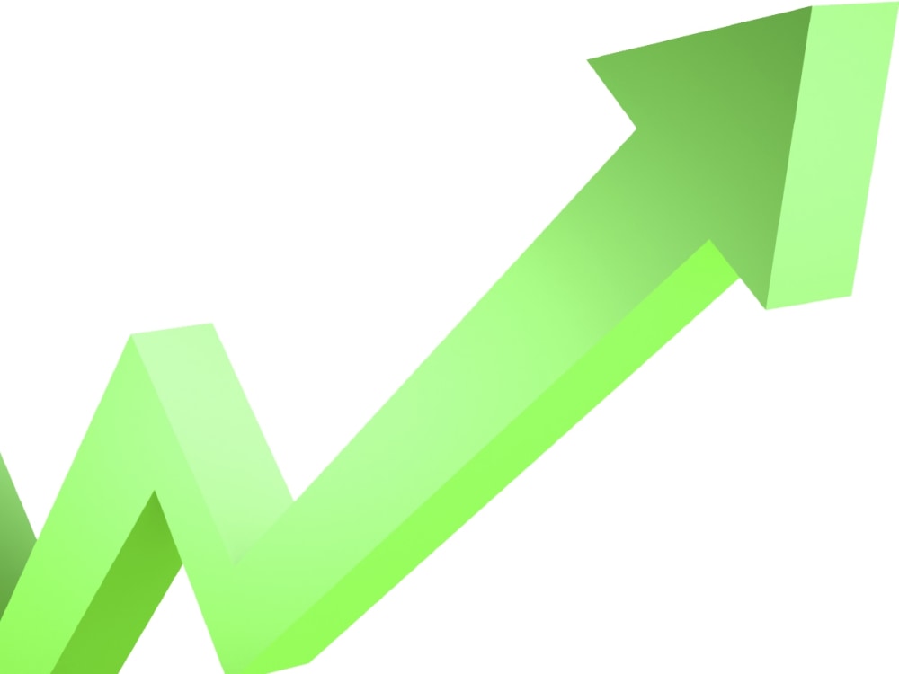 A Fully Customized NetSuite Dashboard(s) | Upwork