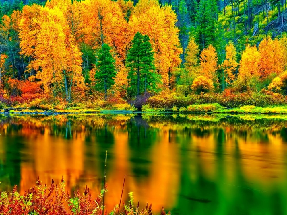 Professional Local Photography - Atlanta, GA | Upwork