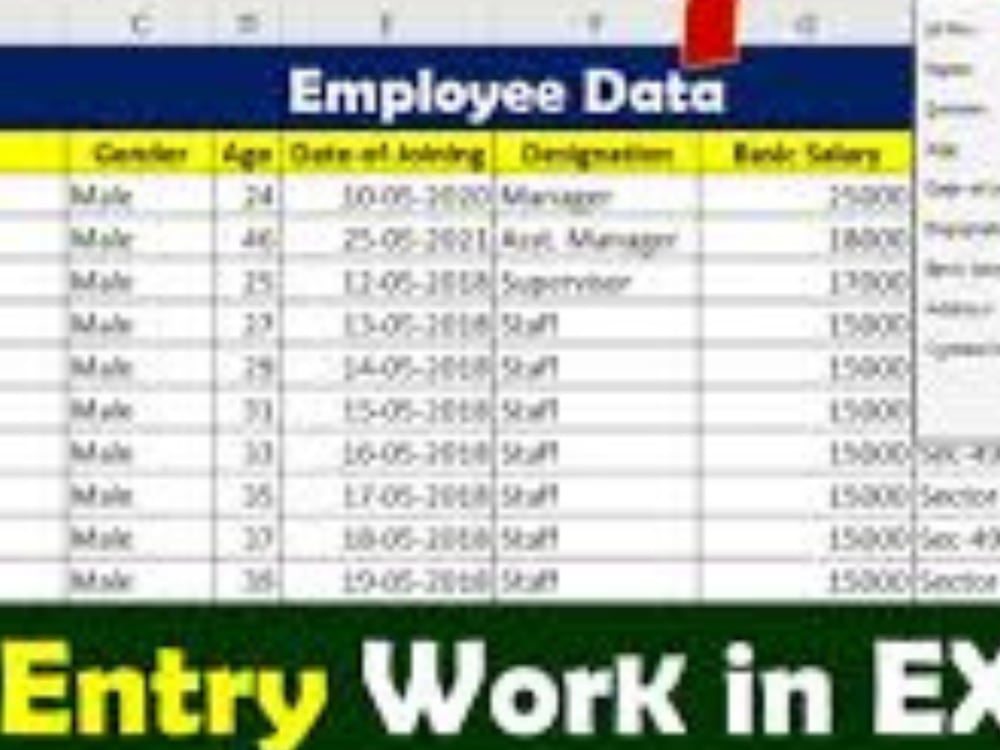 Fast data entry, manual typing, converting PDF to Word and Excel | Upwork