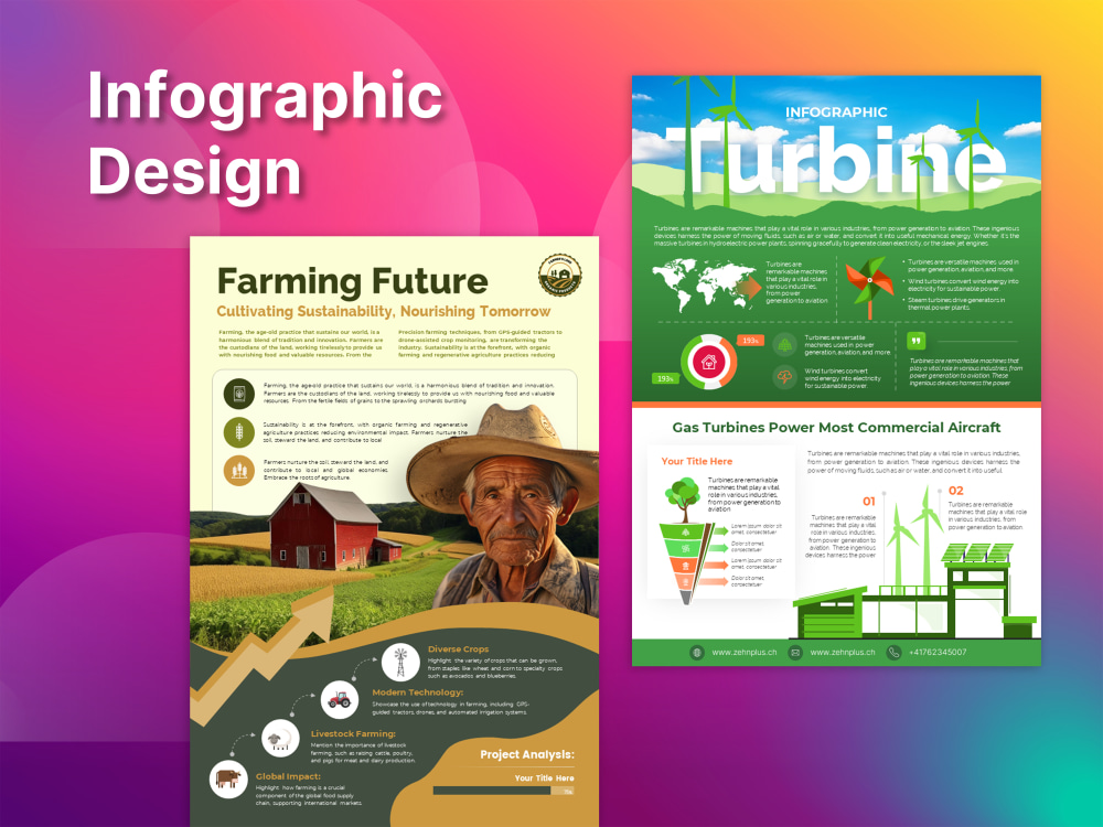 Professional infographic within 24 hours | Upwork