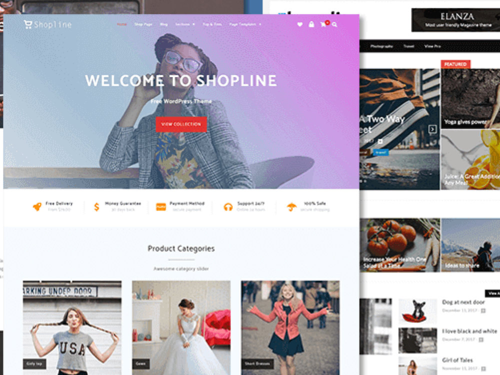 Wordpress Theme Setup And Customization Services Upwork
