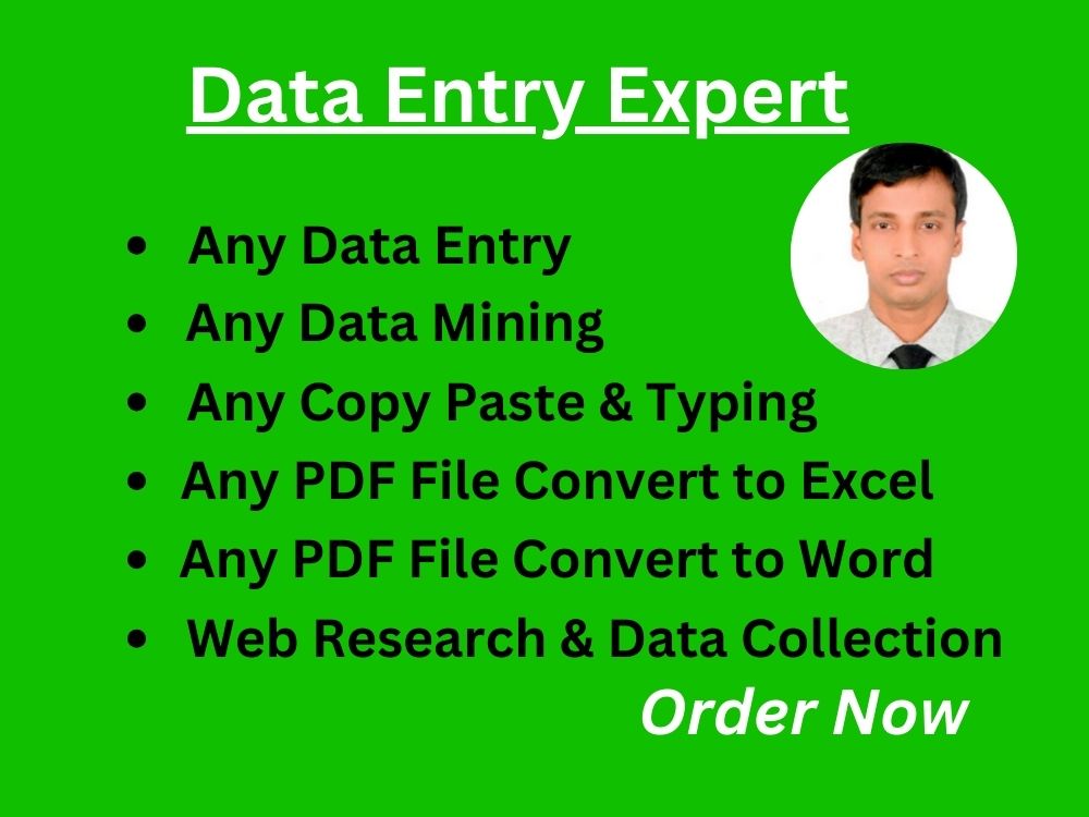 Data Entry, Copy Paste, Data Collection, Any File Convert & web ...
