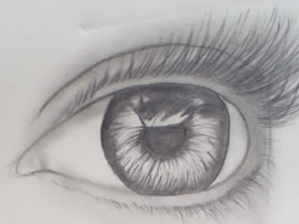 Draw realistic portrait from a photo | Upwork