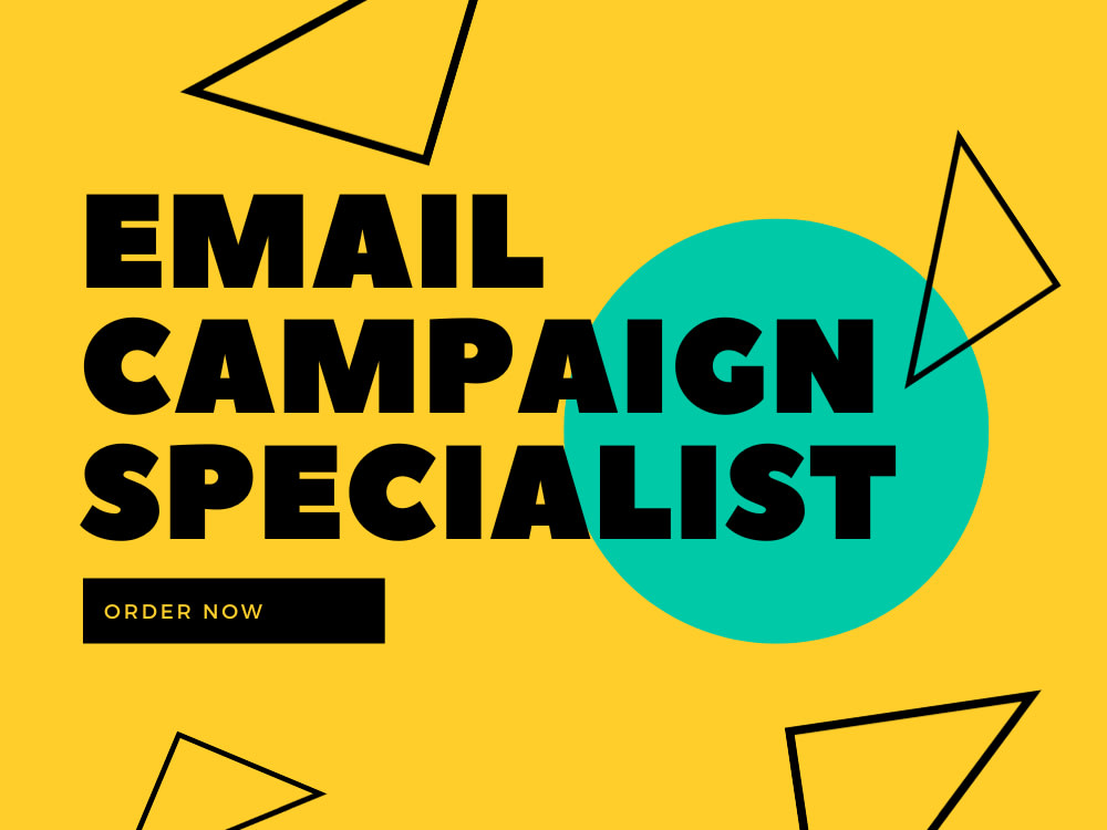 Email Campaign Setup: Building Your Path to Success | Upwork