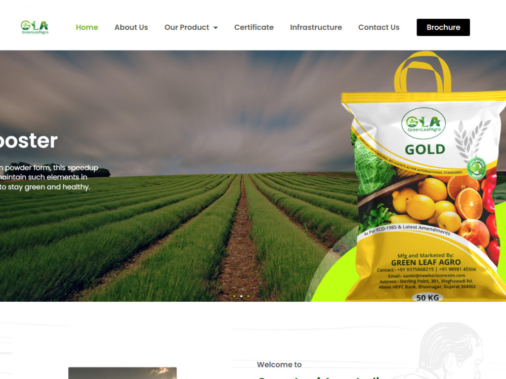 Wordpress Developer Plugin Theme Customization Etc Upwork