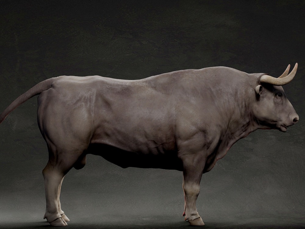 Hyper-realistic CGI animal, 3d anima modeling, rendering and animation ...