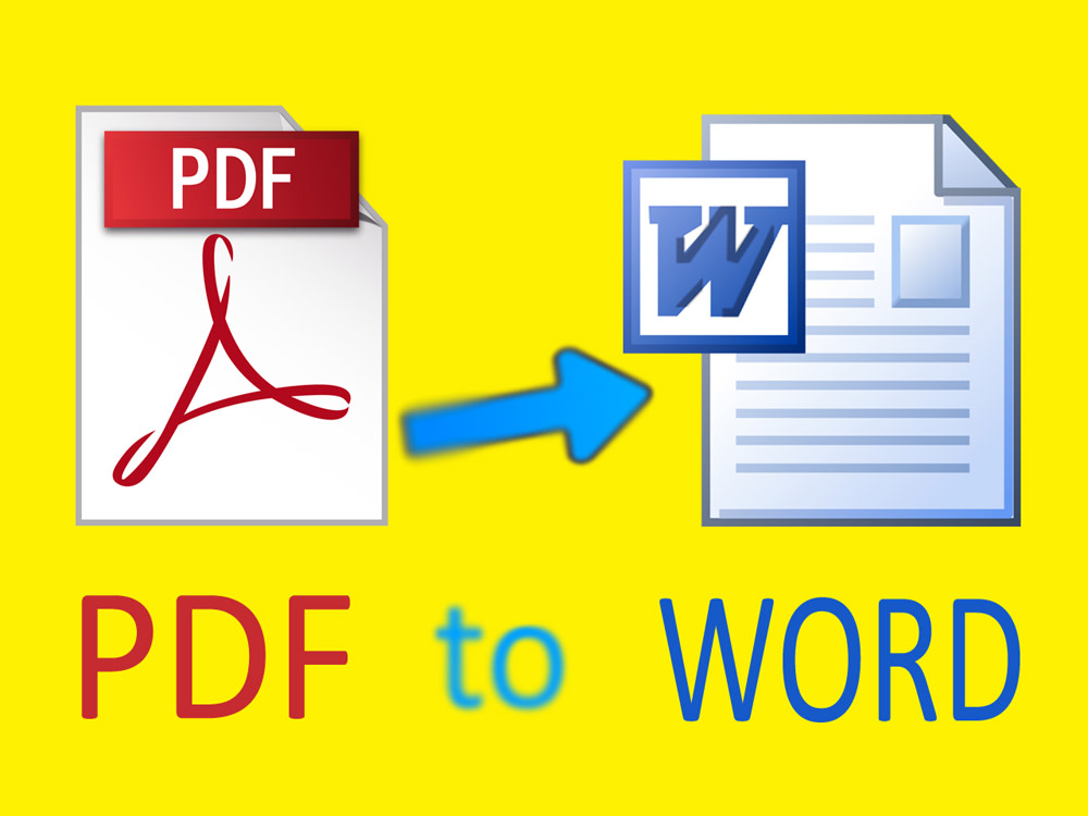 28 pages of typing, PDF conversion, Copy Paste, Data entry within 12 ...