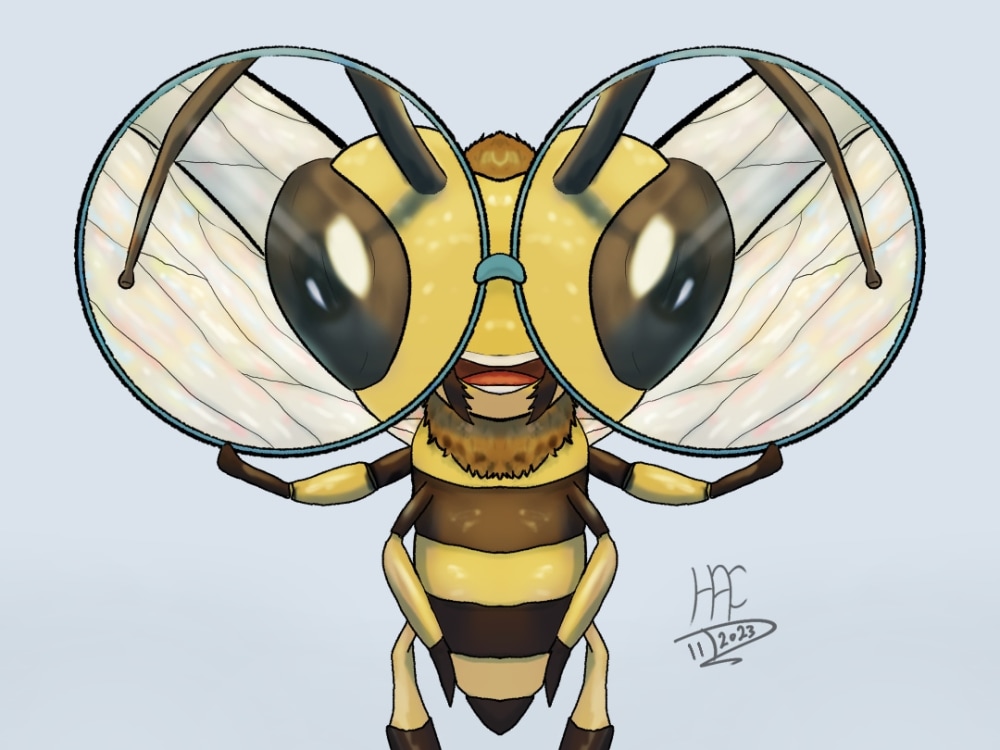 Amazing drawings for your fantasy characters | Upwork