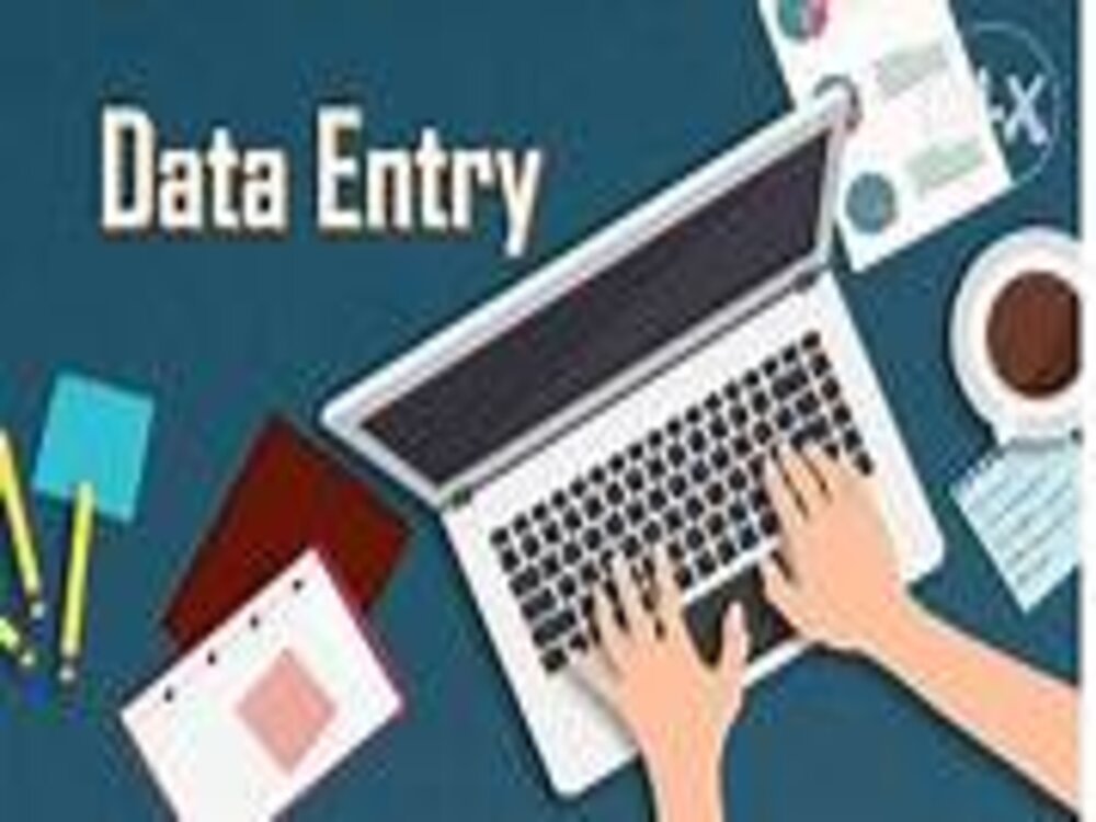Flawless Data Entry Solutions Tailored to Your Needs | Upwork