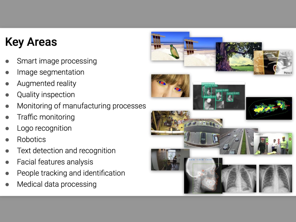 Mvp For Detection Classification Segmentation Regression Projects Upwork