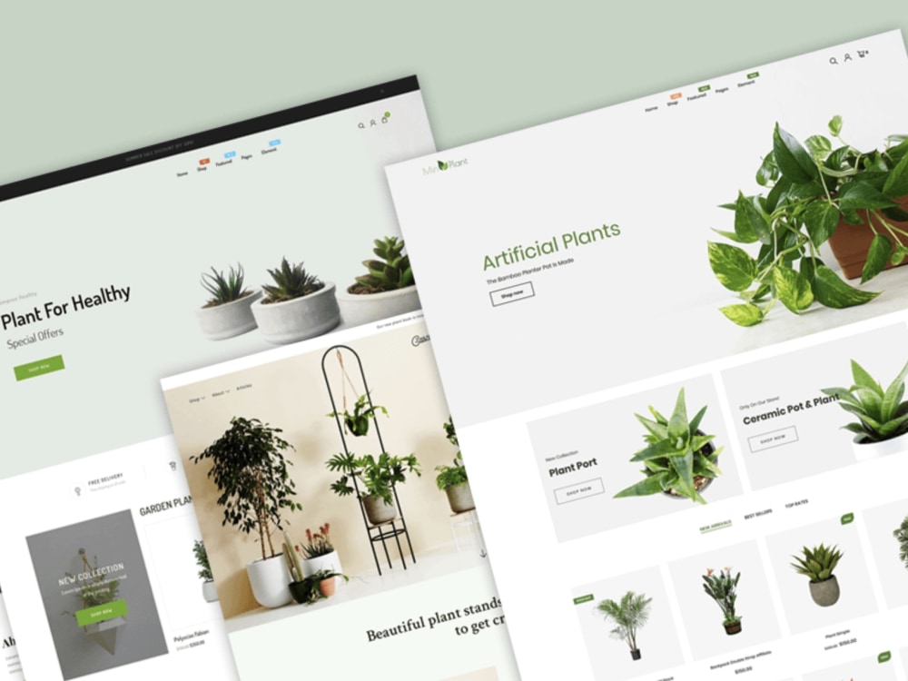 A custom shopify store | Upwork
