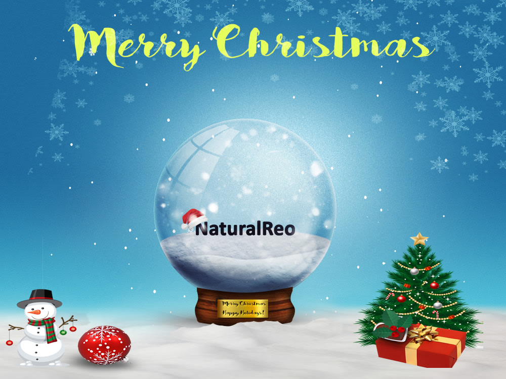 Eye catching snow globe to put your logo or message for the holidays ...