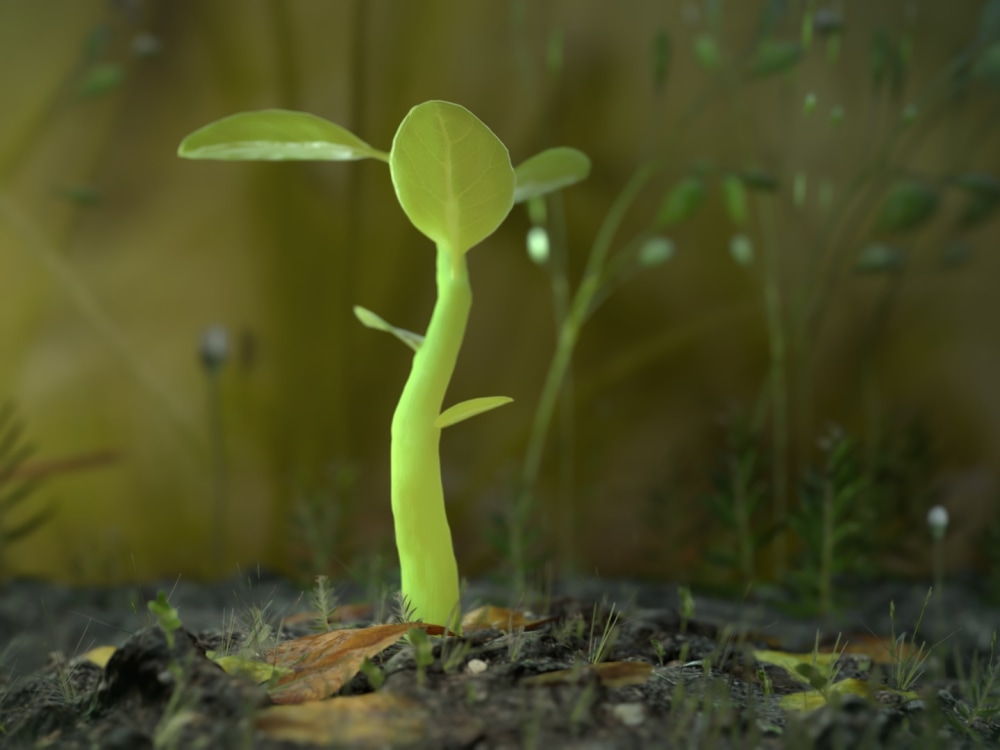 A Geometry Nodes procedural animation | Upwork