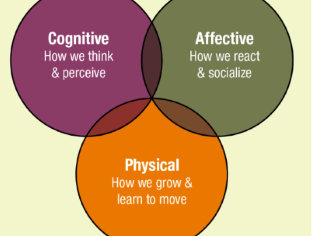 High-quality medical assessment tools for your students | Upwork
