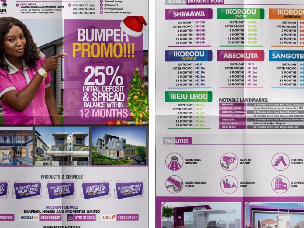 A professional A4, A5 FLYER & POSTER DESIGN | Upwork