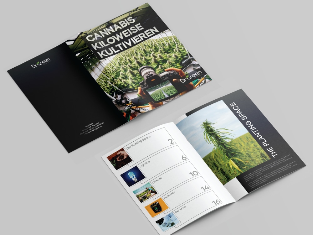 An Eye-Catching Brochure/Catalog that grabs your audience's attention ...