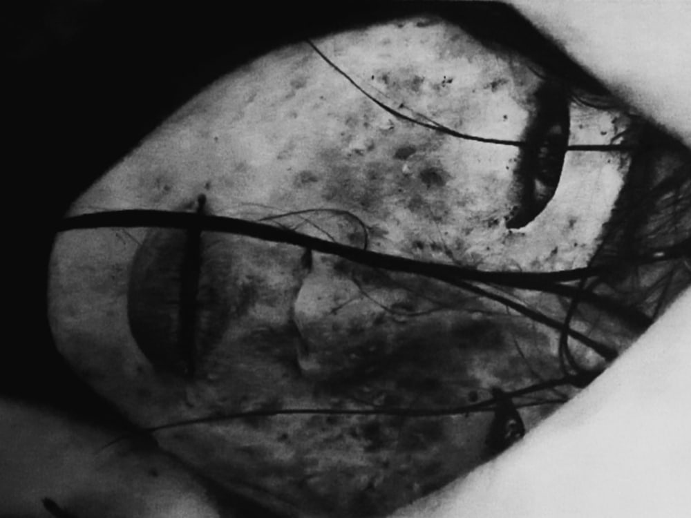 A fantastic realistic pencil portrait | Upwork