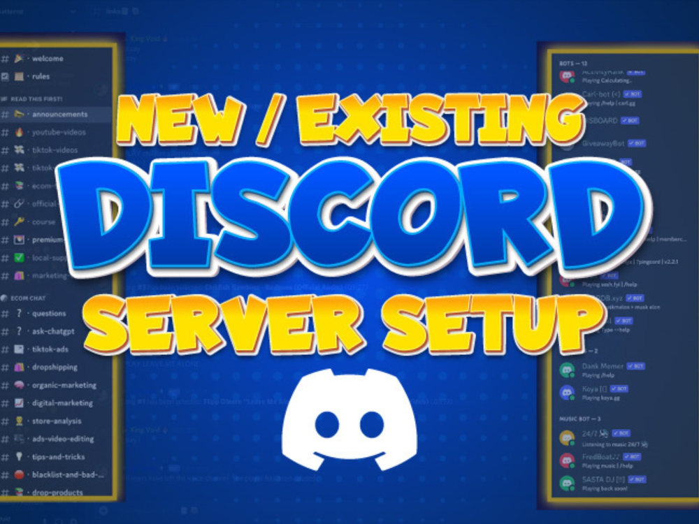A Professional Discord Server within 24 Hours | Upwork