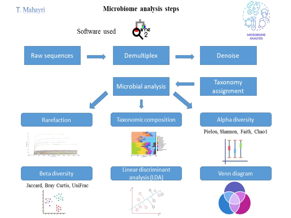 Get a complete microbiota analysis for 16S rRNA | Upwork