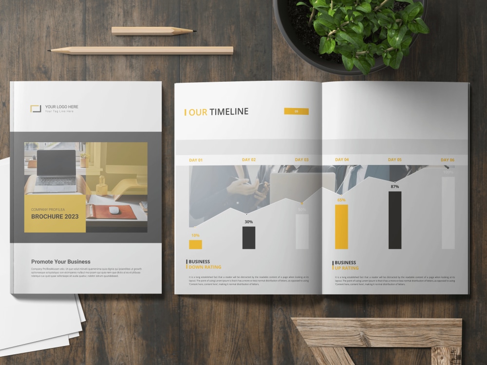 Corporate brochure, white paper, minimalist brochure, annual report ...