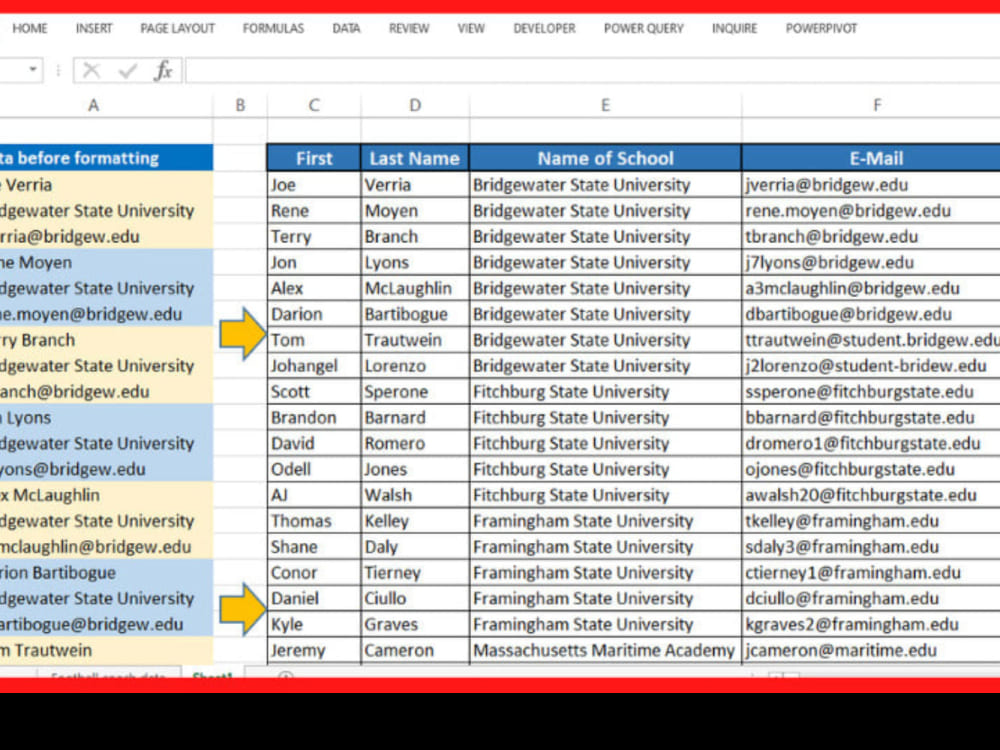 Data Cleansing and Scrubbing for High-Quality Data Analysis | Upwork