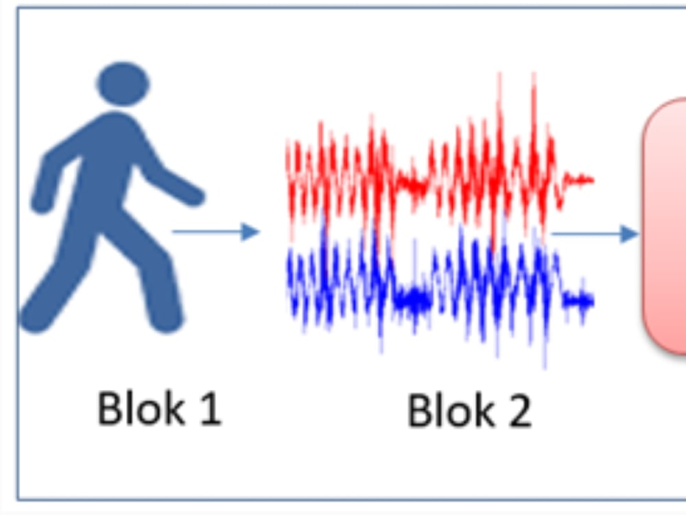 Gender identification from sensor signals | Upwork