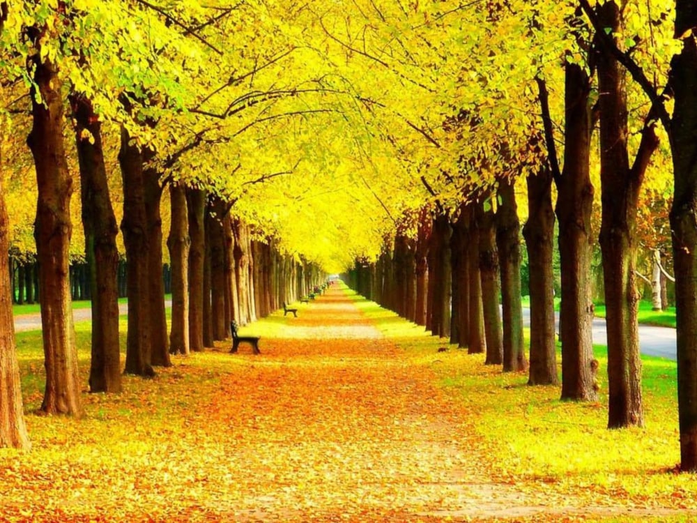 A nice colourful and background layout | Upwork
