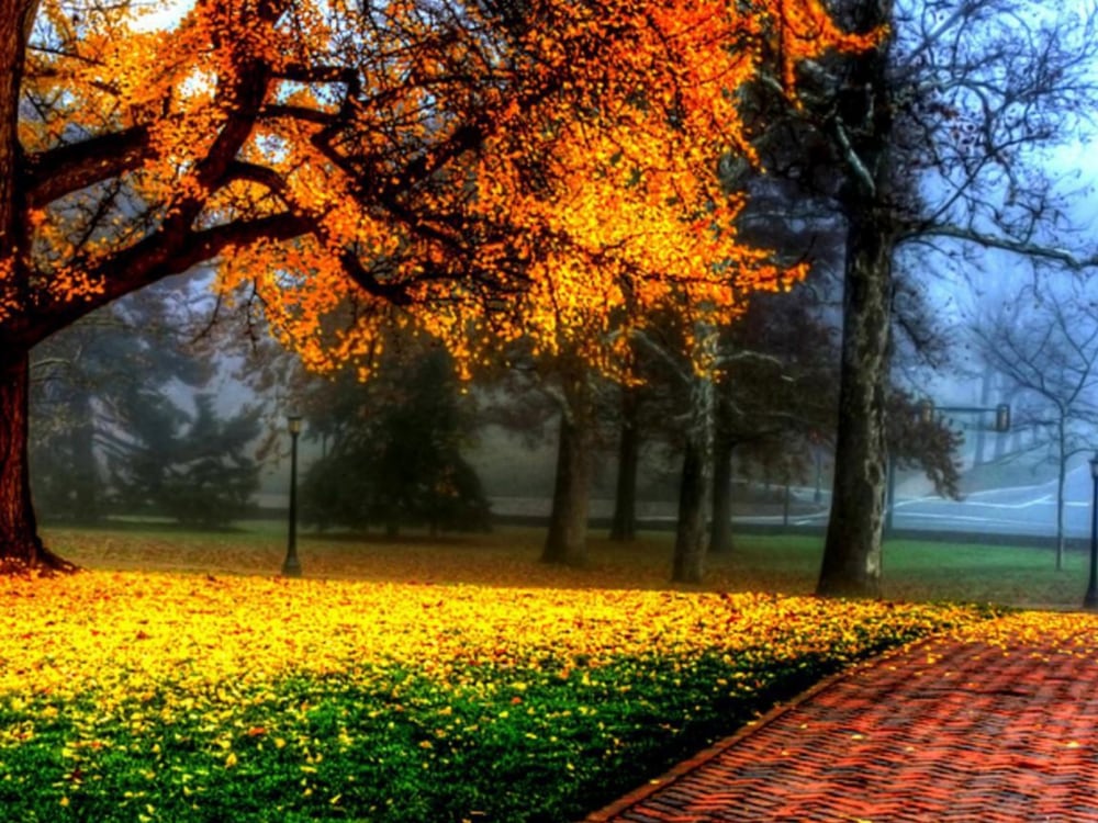 A nice colourful and background layout | Upwork