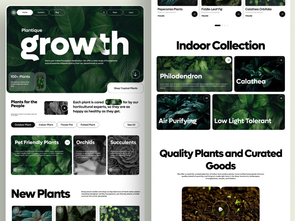 UX/UI design of E-commerce website in Figma | Upwork