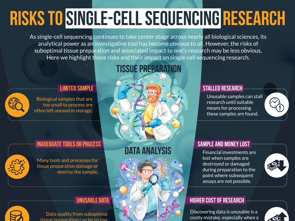 Eye-catching visual strategies or infographics | Upwork