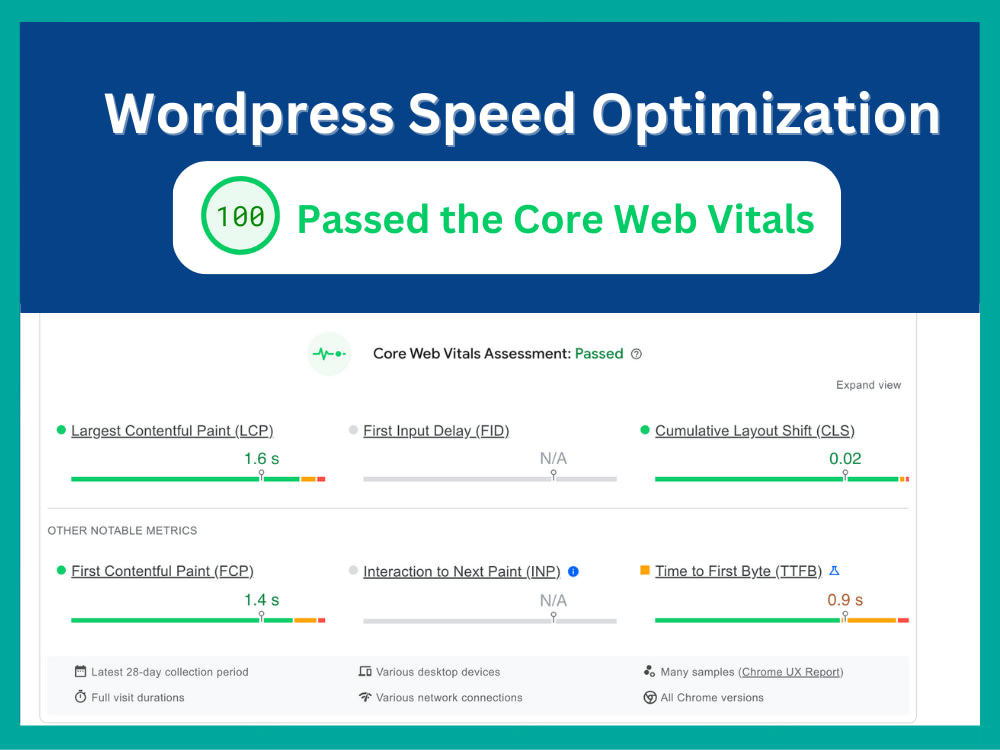 Core Web Vitals Issues Passed in Google PageSpeed Insights | Upwork