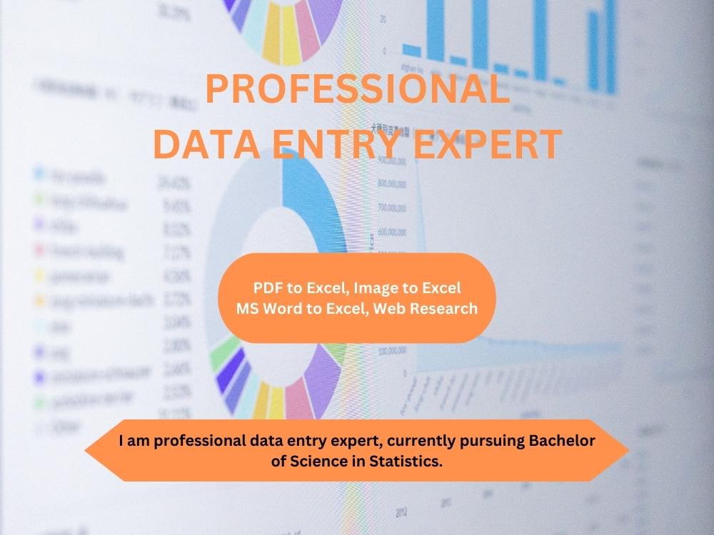 Data Entry Expert | PDF to Excel | Copy Paste Job | Web Research ...