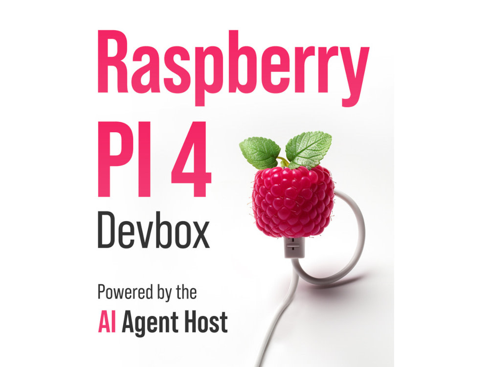 AI Agent Host Installation and Setup Service on Raspberry Pi | Upwork