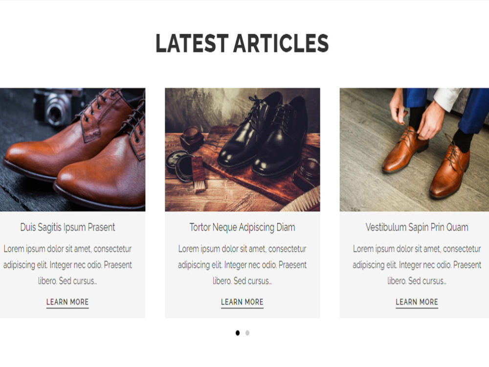 Professional Wordpress Website Design With E Commerce Functionality